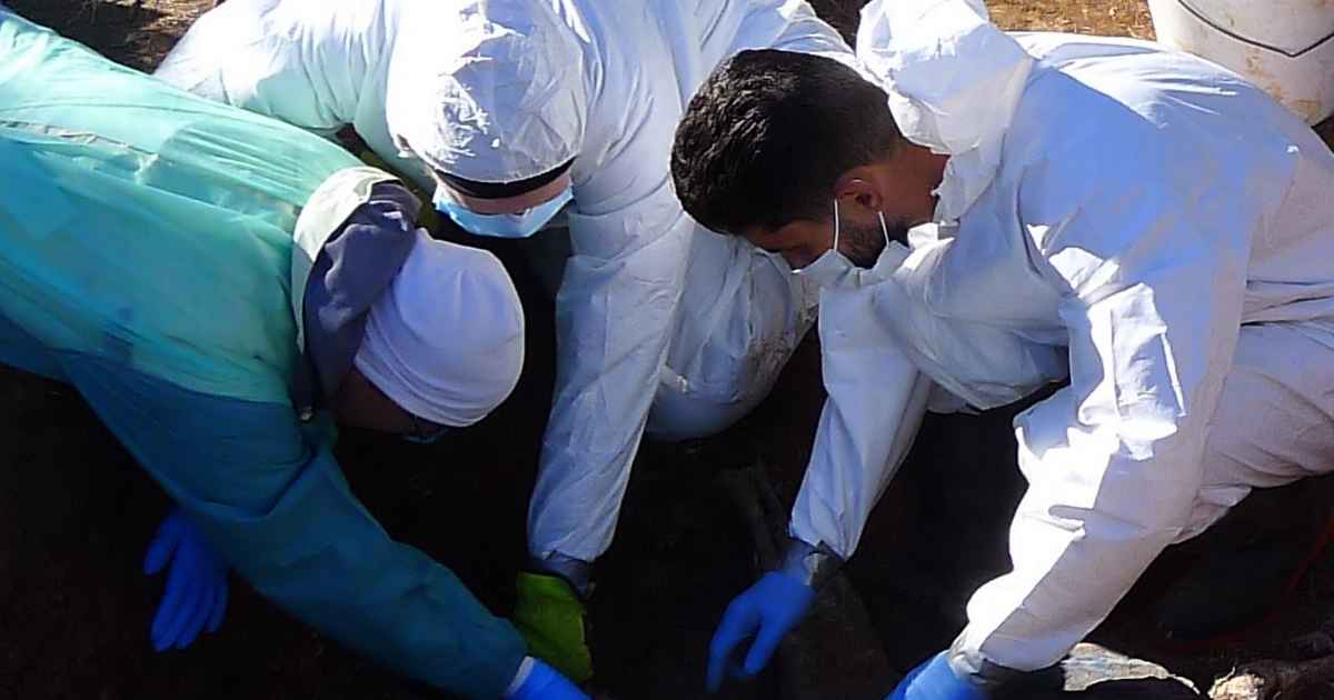 Forensic Archaeology - Amsterdam School for Heritage, Memory and ...